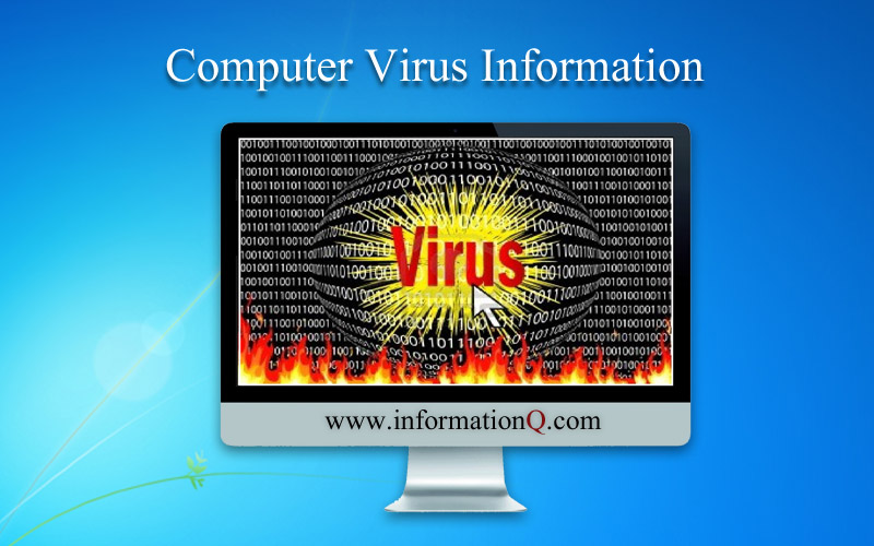 Computer Virus | How a computer virus detect |Types of virus ...