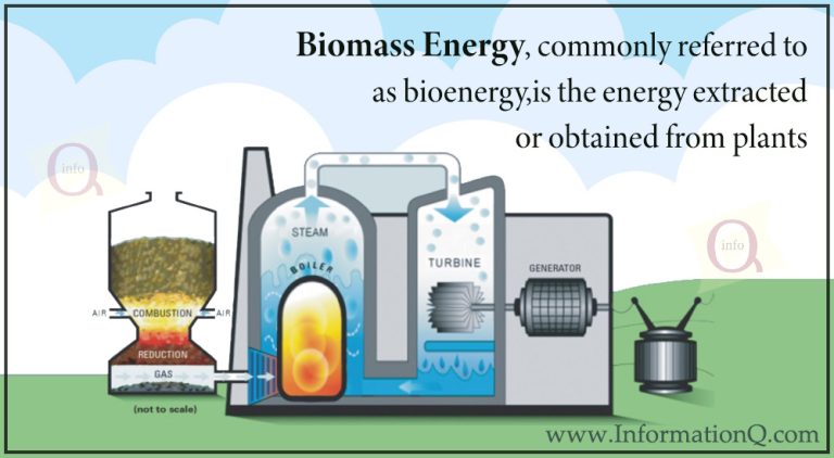 What is Biomass Energy? Types and How does Biomass Energy Work?