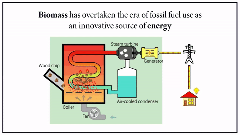 What is Biomass Energy? Types and How does Biomass Energy Work?